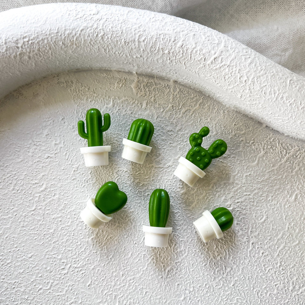 Cactus Mini Magnets – Lumi Magnets